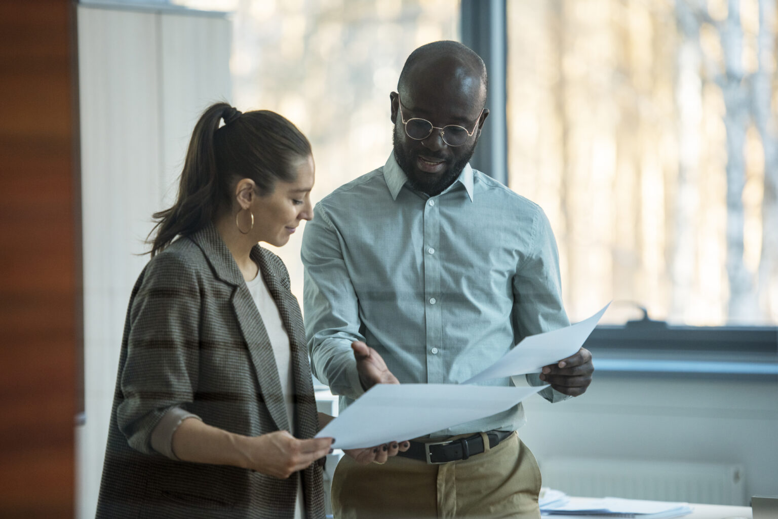 Estrutura Comercial - Grupo Insigne